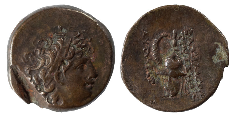 biddr - Sol Numismatik, Auction II, lot 21. SELEUKID KINGS of SYRIA ...