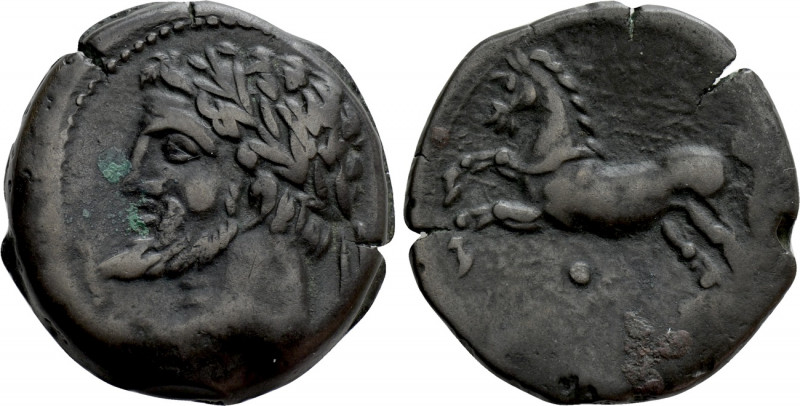 biddr - Numismatik Naumann, Auction 116, lot 541. KINGS OF NUMIDIA ...