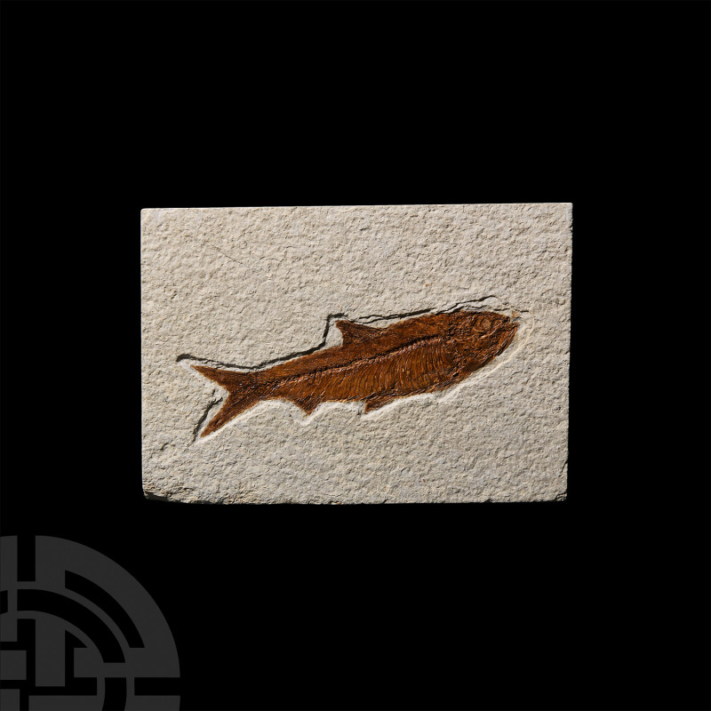 biddr - TimeLine Auctions, Auction 135 - Antiquities, lot 6212 ...