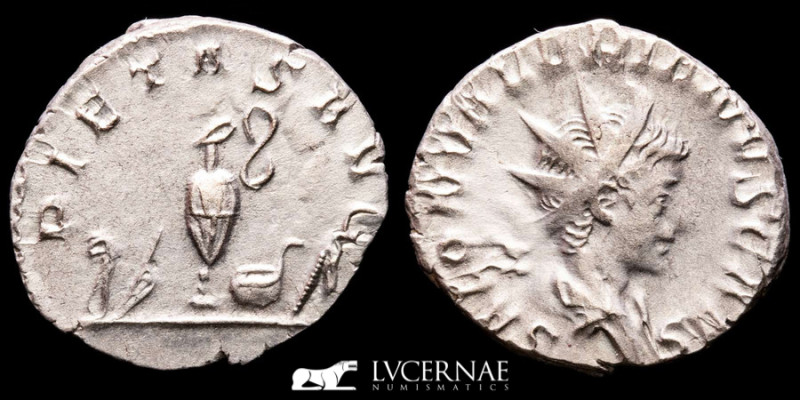 biddr - Lucernae Numismatics, NOVENA IX, lot 666. Roman Empire ...