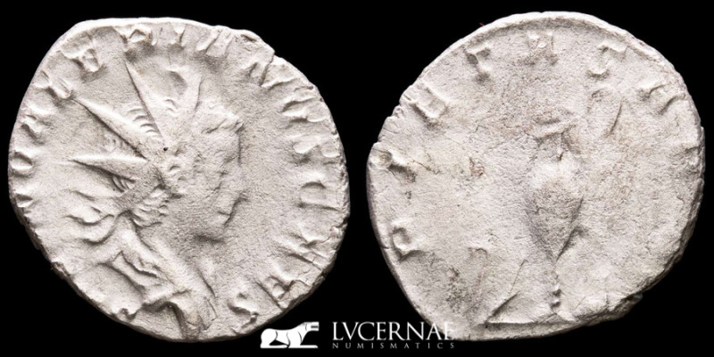 biddr - Lucernae Numismatics, DUODECIMA XII, lot 725. Roman Empire ...