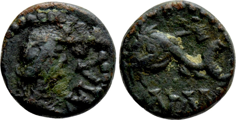 biddr - Numismatik Naumann, Auction 128, lot 29. GAUL. Massalia. Ae ...