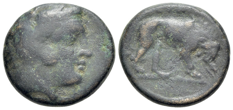 biddr - Aphrodite Art Coins, Auction 19, lot 28. Kings of Macedon ...