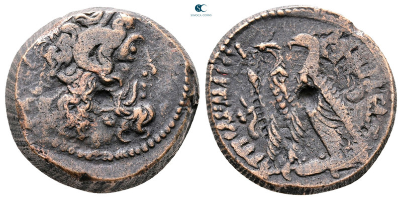 biddr - Savoca Coins, Blue | 204th Weekly Blue Auction, lot 179. Ptolemaic Kingdom of Egypt ...
