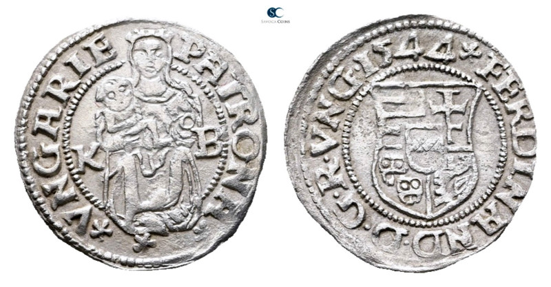 biddr - Savoca Coins, Blue | 259th Weekly Blue Auction, lot 734. Hungary. Ferdinand I AD 1887 ...