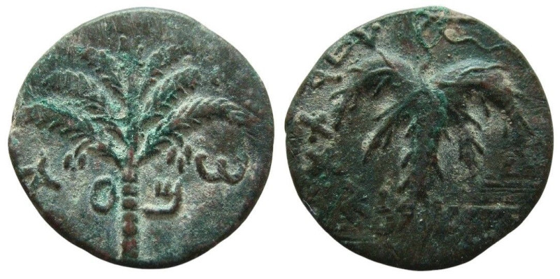 biddr - Holy Land Auction, E-Auction 23, lot 212. Judaea. Bar Kochba Revolt, 132-135 AD. AE ...