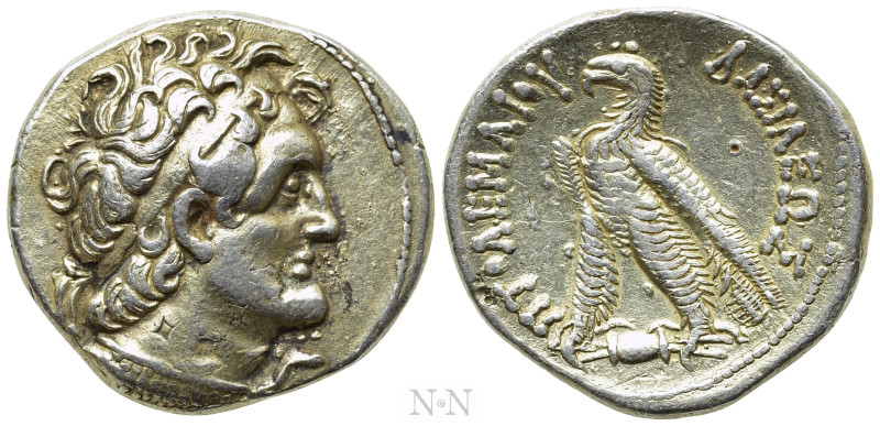 biddr - Numismatik Naumann, Auction 153, lot 295. PTOLEMAIC KINGS OF EGYPT. Ptolemy VI (First ...