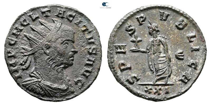 biddr - Savoca Coins, Blue | 278th Weekly Blue Auction, lot 324. Tacitus AD 275-276. Rome ...