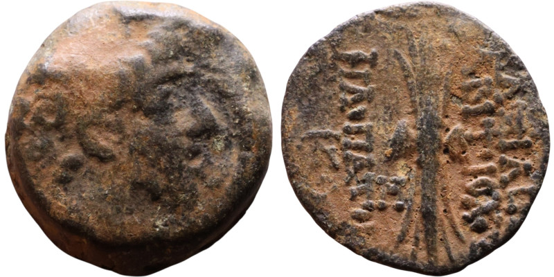 biddr - Nummitra, Auction 80, lot 62. Antiochus IX Cyzicenus (Seleukid ...