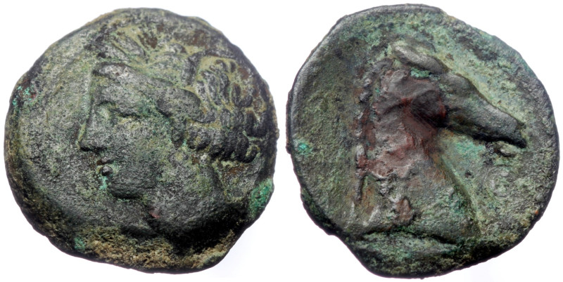biddr - Pandora Numismatics, Auction 24, lot 6. North Africa, Carthage ...