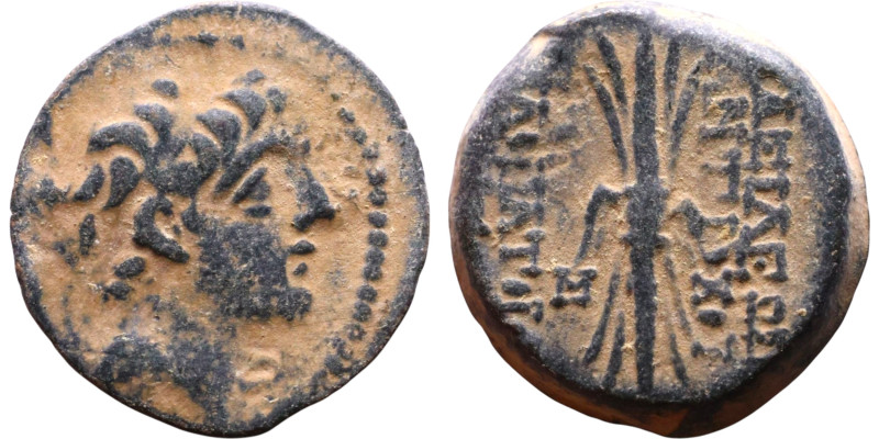 biddr - Nummitra, Auction 101, lot 64. Antiochus IX Cyzicenus (Seleukid ...